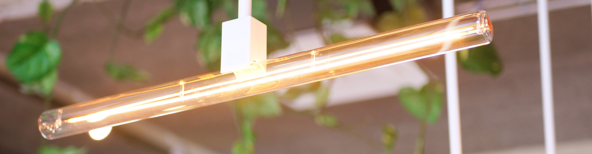 Linear Line | SEGULA Lines | Lampen / Leuchtmittel | SEGULA